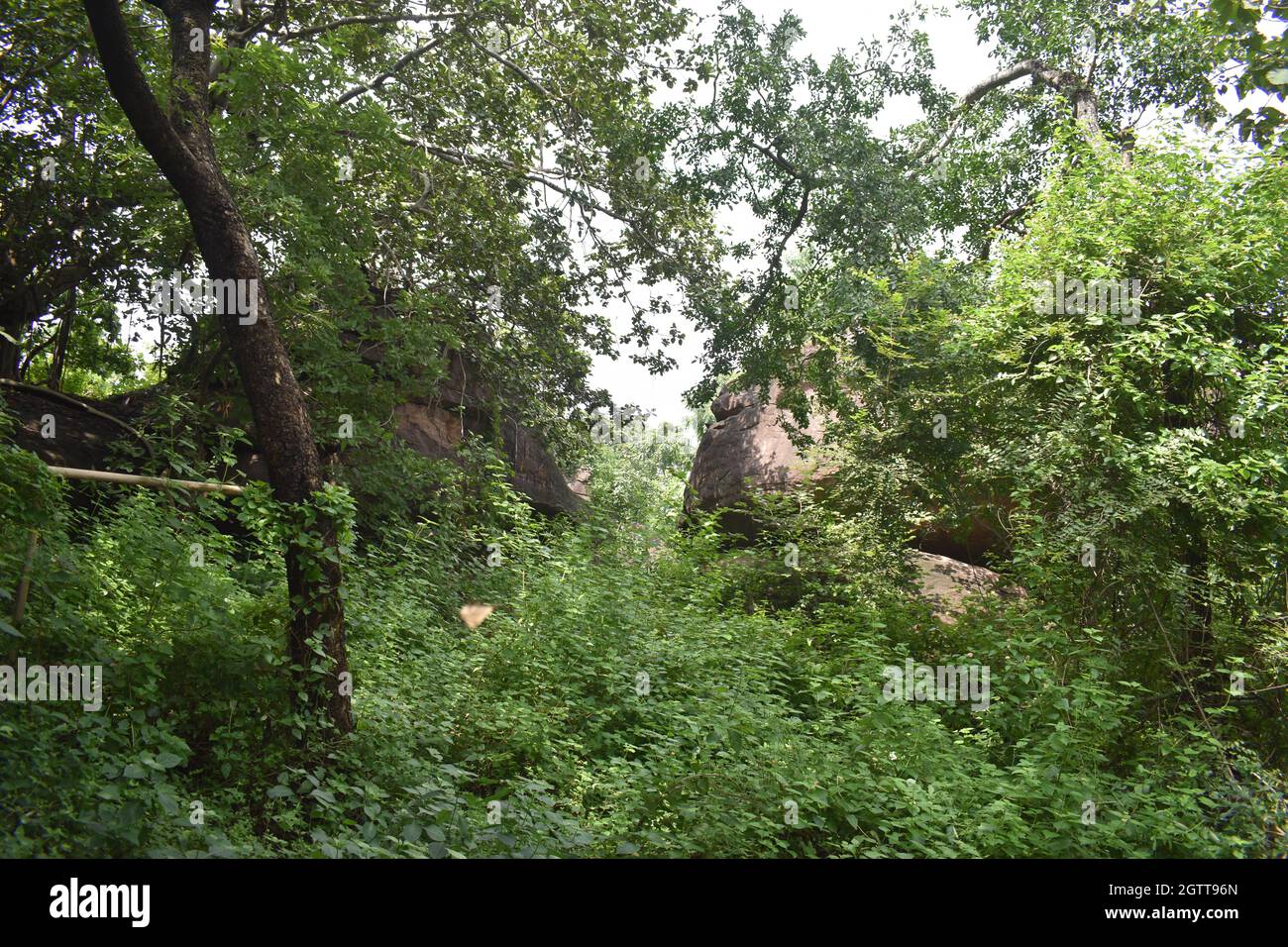 Natural beauty in bhopal madhya pradesh Stock Photo - Alamy