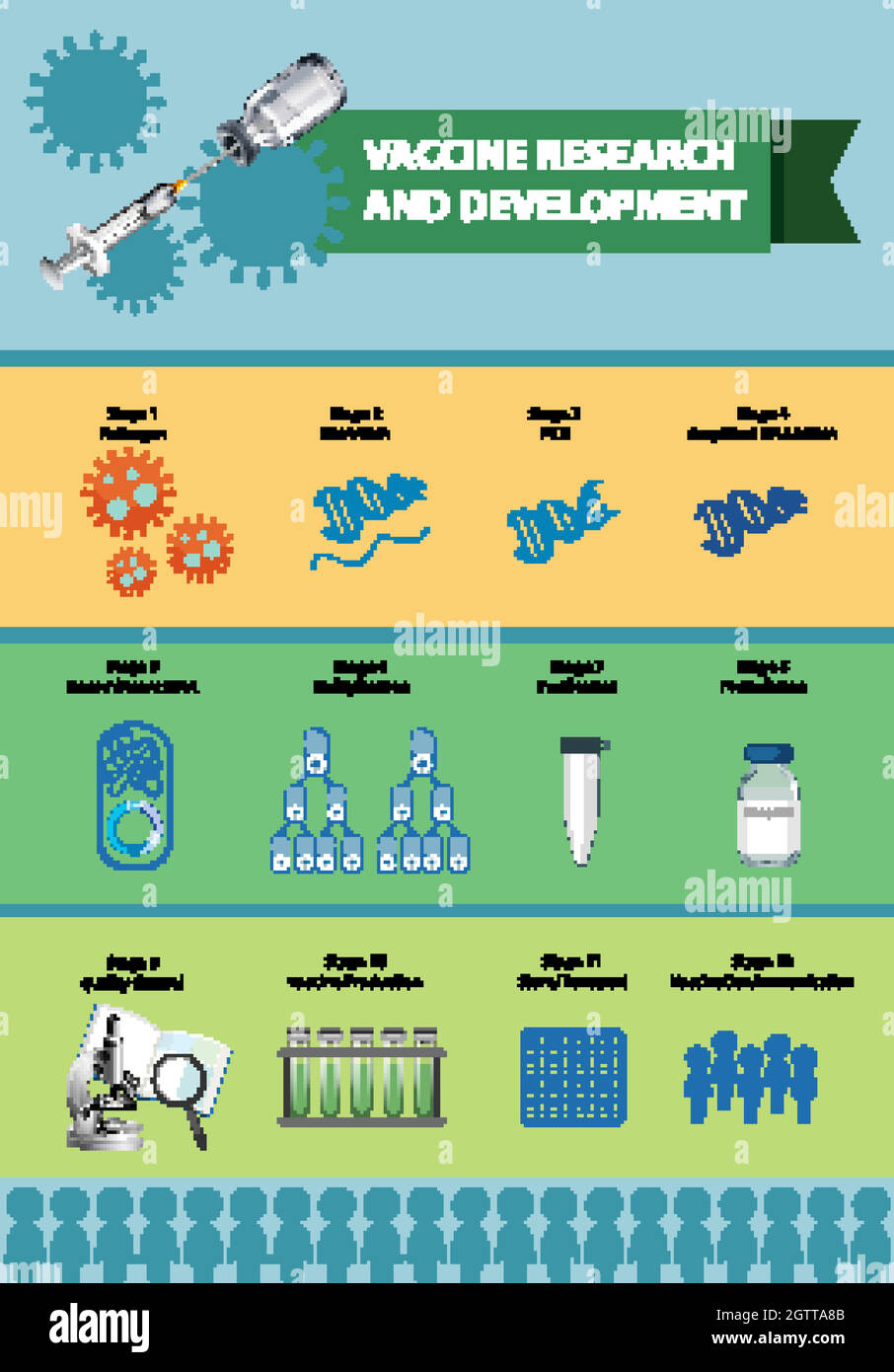 Vaccine research and development infographic Stock Vector Image & Art ...