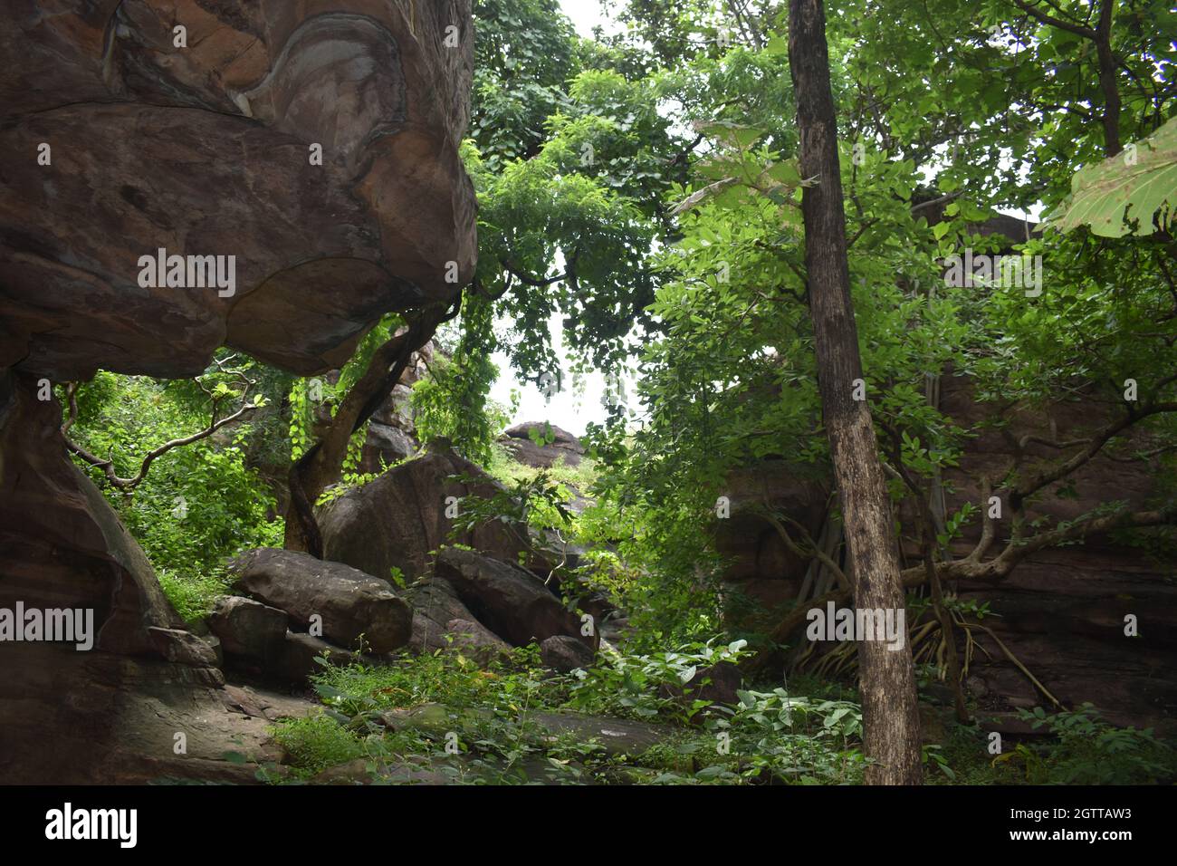 Natural beauty in bhopal madhya pradesh Stock Photo - Alamy