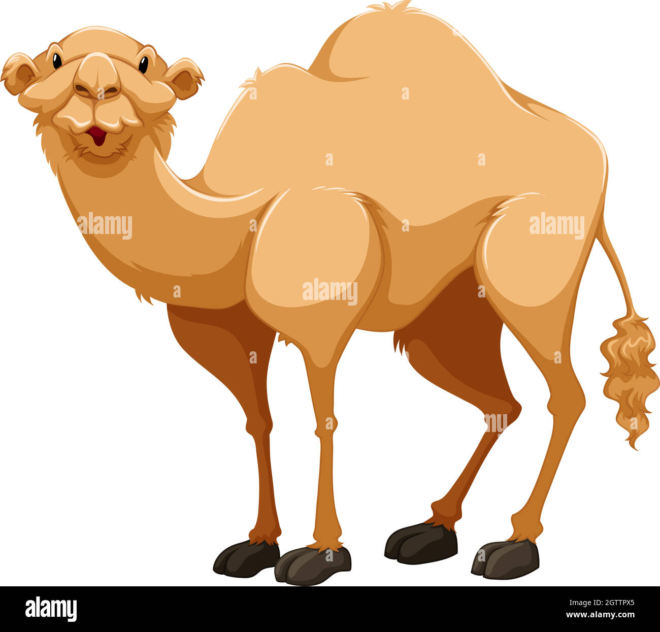 Camel up close Stock Vector Images - Alamy
