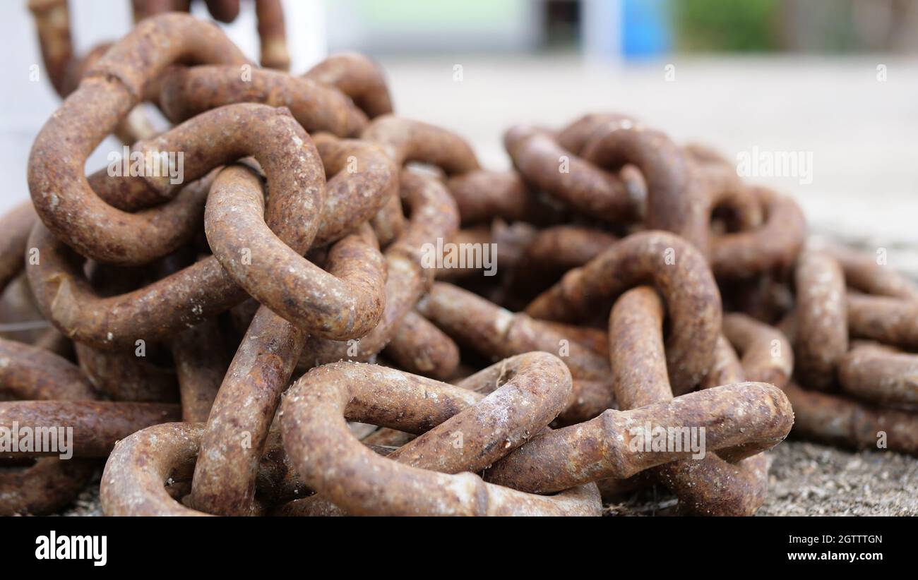 Chain of jellyfish hi-res stock photography and images - Alamy