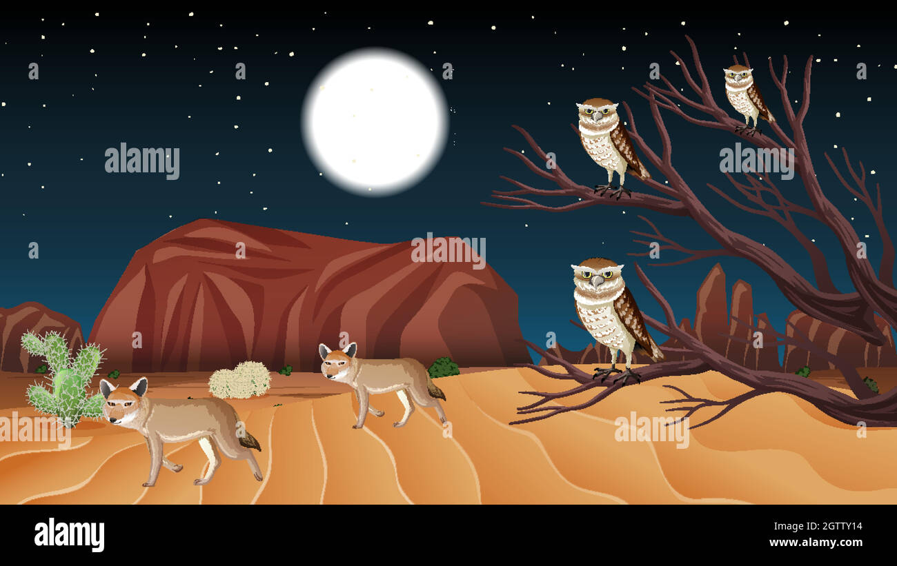 Wild desert landscape at night scene Stock Vector Image & Art - Alamy