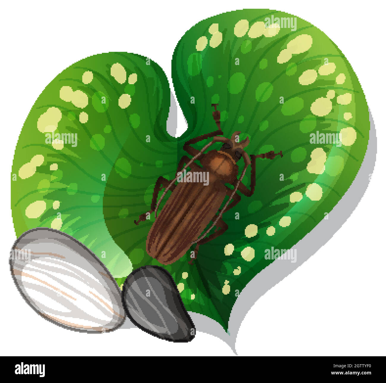 Jungle insects Stock Vector Images - Alamy