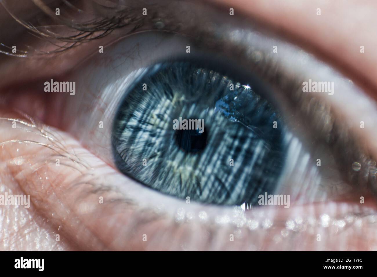 Human blue eye hi-res stock photography and images - Alamy