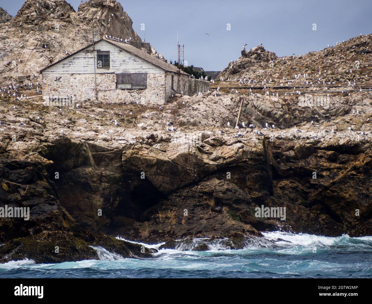 Farallon island hi-res stock photography and images - Alamy