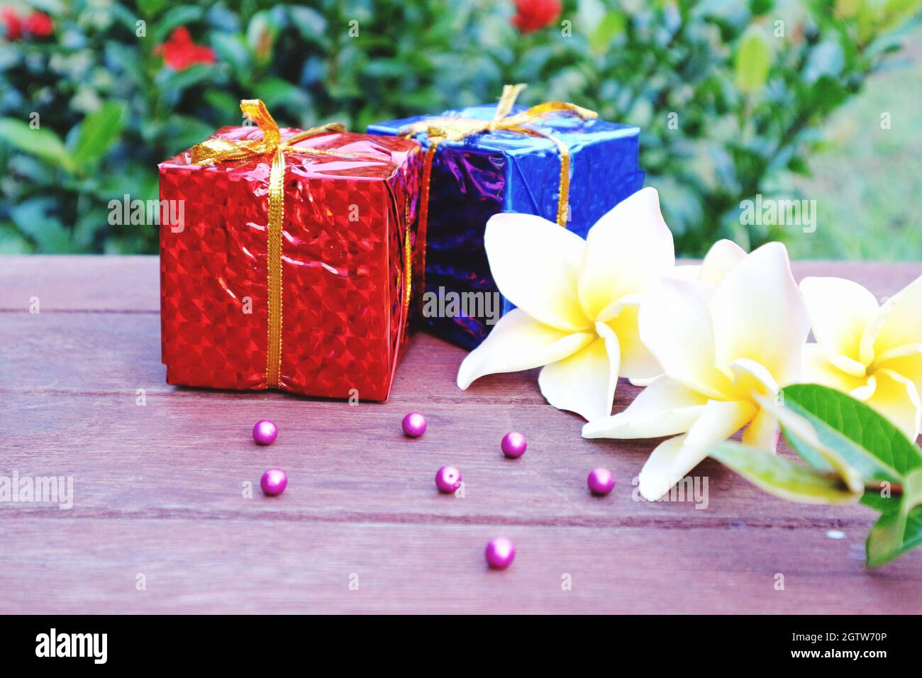 Rose plant cross section hi-res stock photography and images - Alamy