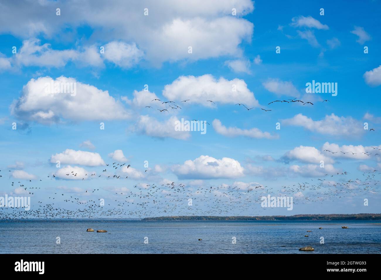 Season of migration hi-res stock photography and images - Alamy