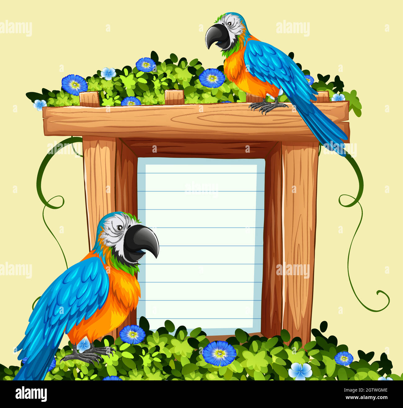 Paper template with two macaw birds Stock Vector Image & Art - Alamy