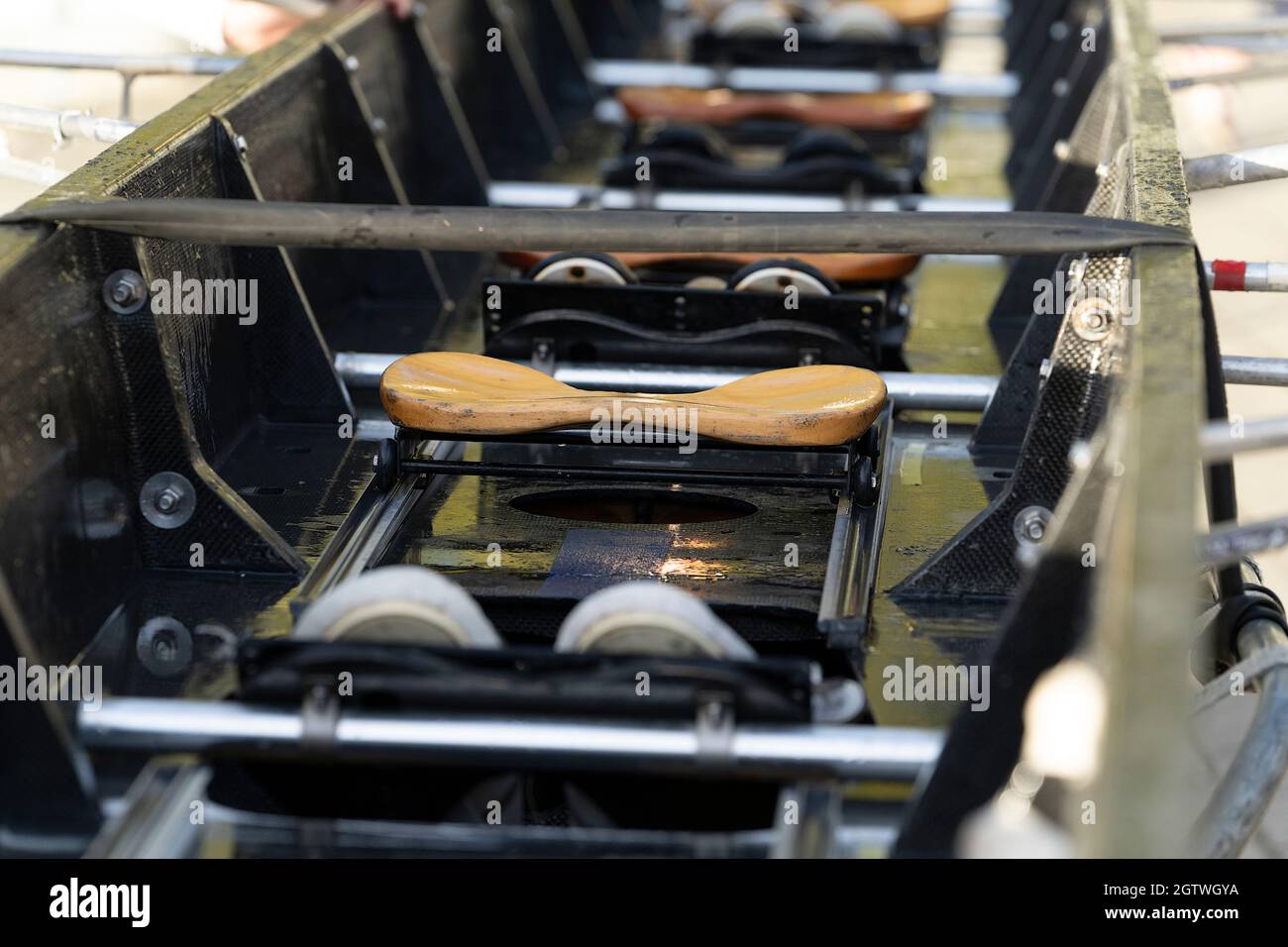 Row sport athlete oar oars hi-res stock photography and images - Alamy