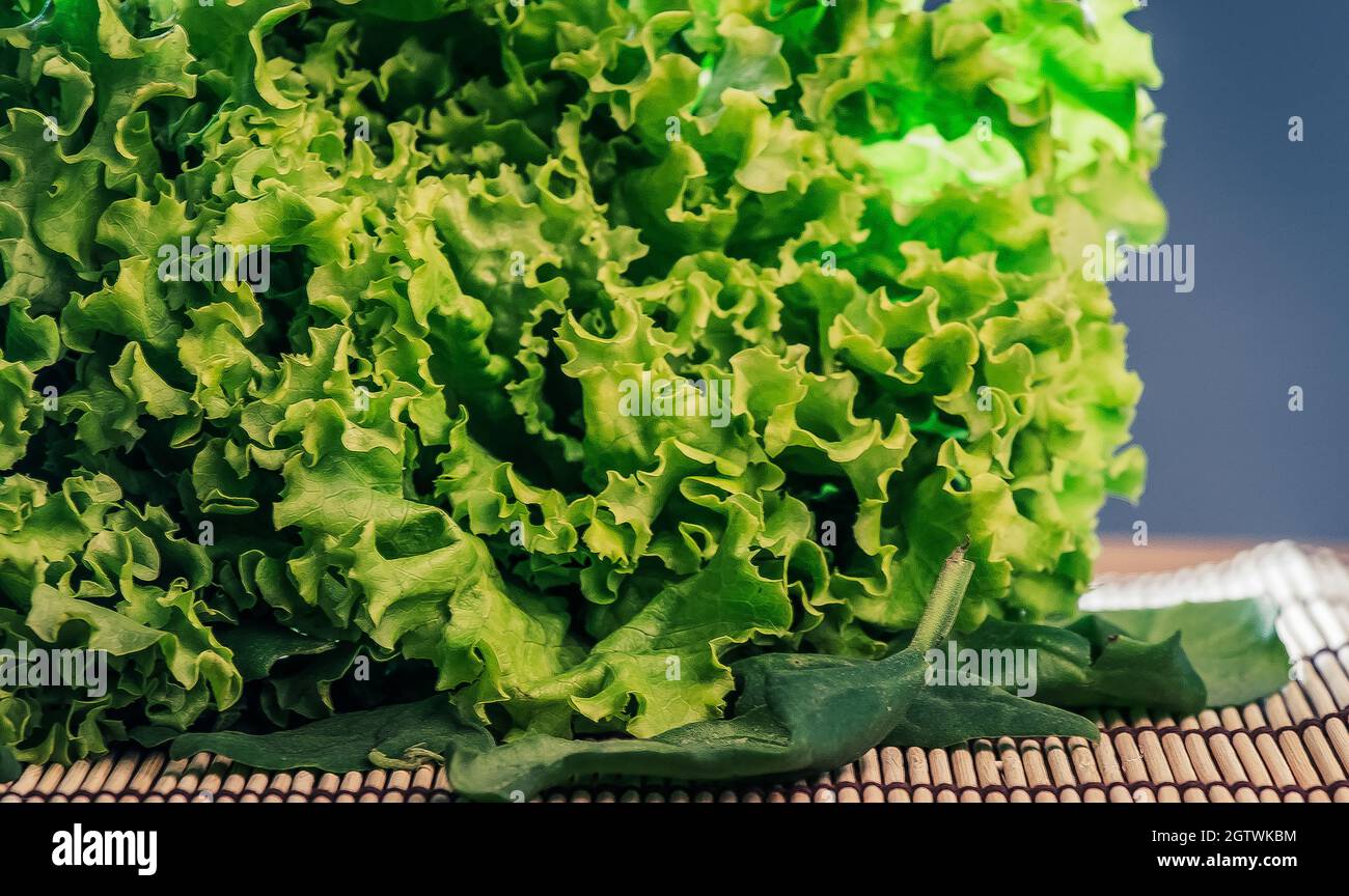 Stockphotoimagefun hi-res stock photography and images - Alamy