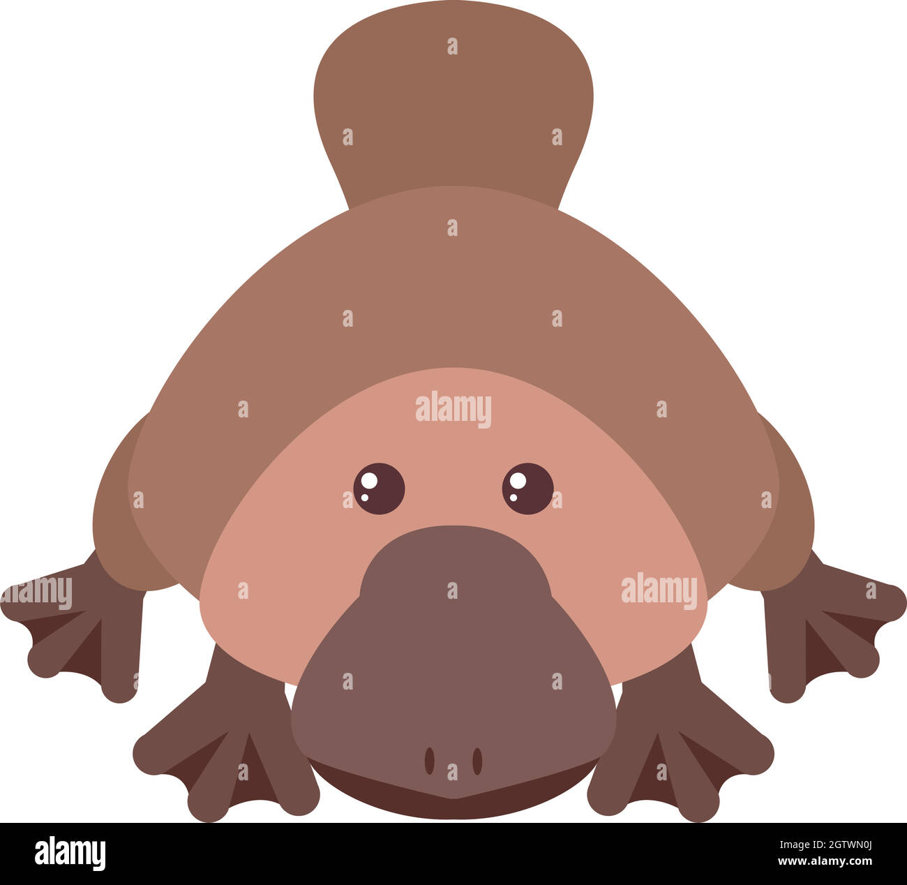Platypus with happy face Stock Vector Image & Art - Alamy