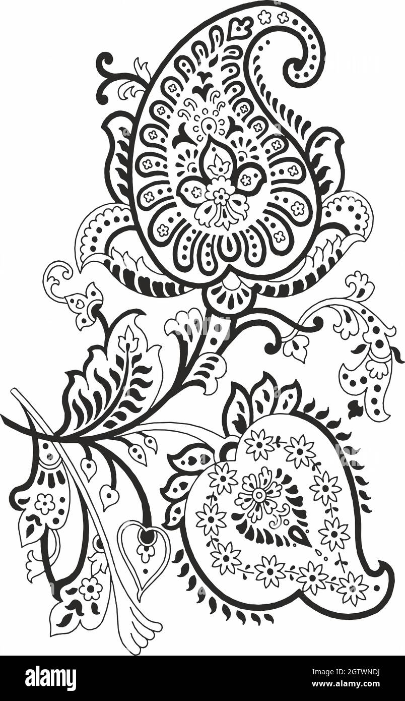 Visual Arts Flower Drawing