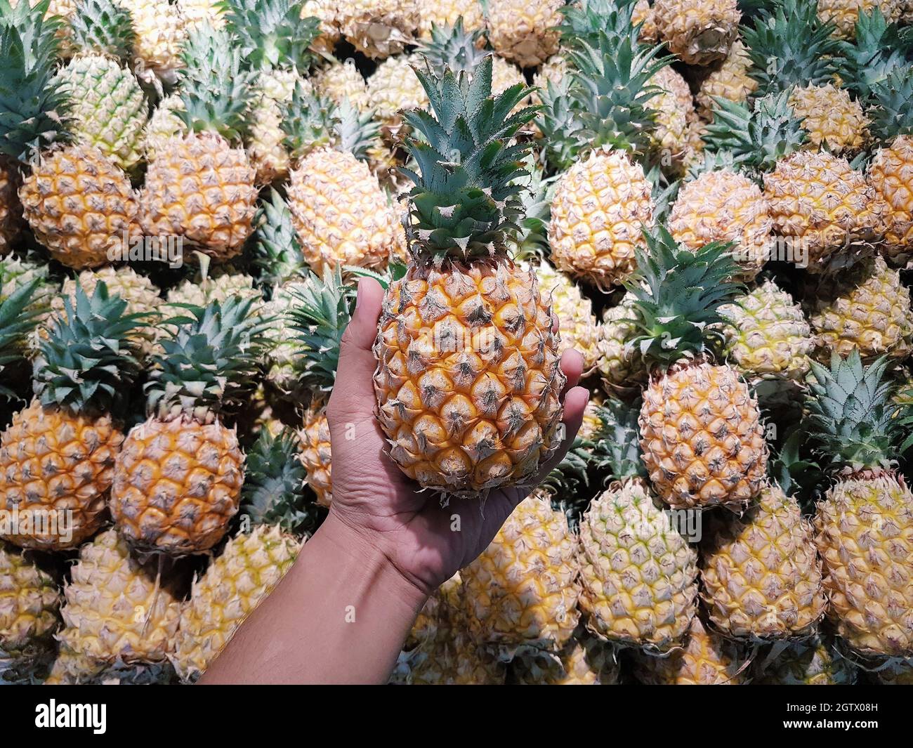 Finger aloe hi-res stock photography and images - Alamy