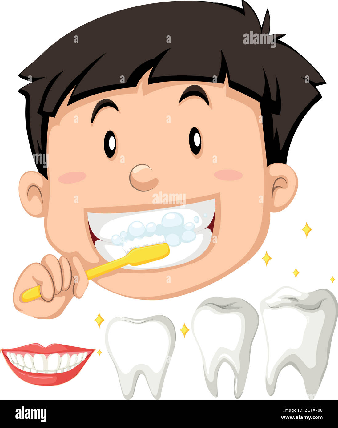 Boy brushing his teeth Stock Vector Image & Art - Alamy