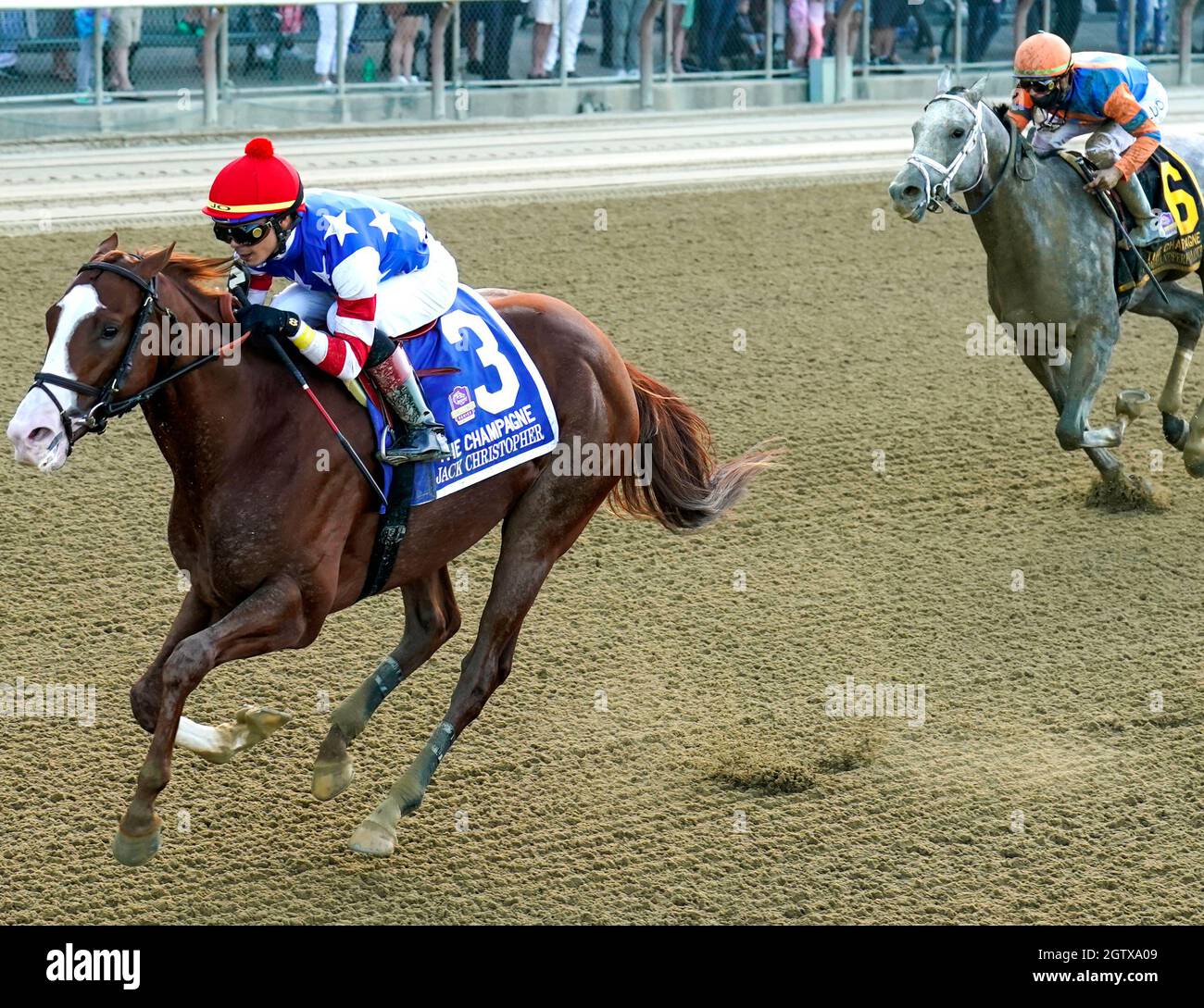 Brown jack horse hi-res stock photography and images - Alamy