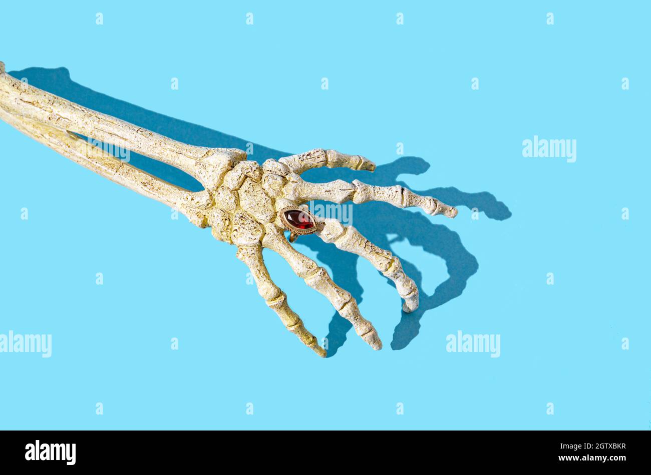 A skeleton hand with a beautiful golden ring and a ruby stone on the ...