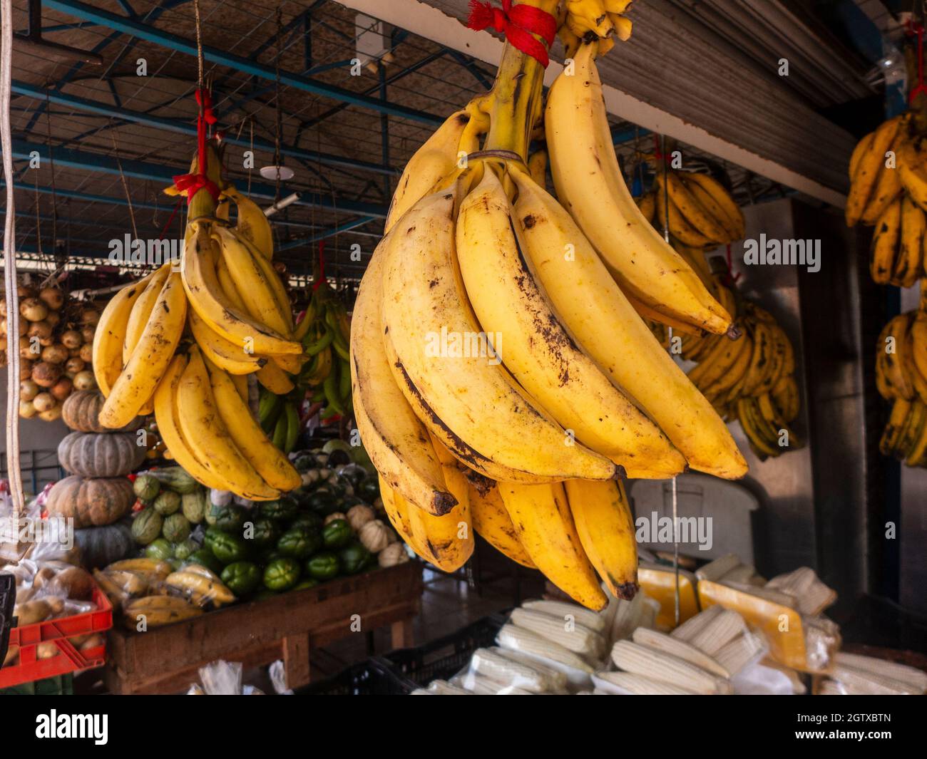 Muelle Costa Rica High Resolution Stock Photography and Images - Alamy