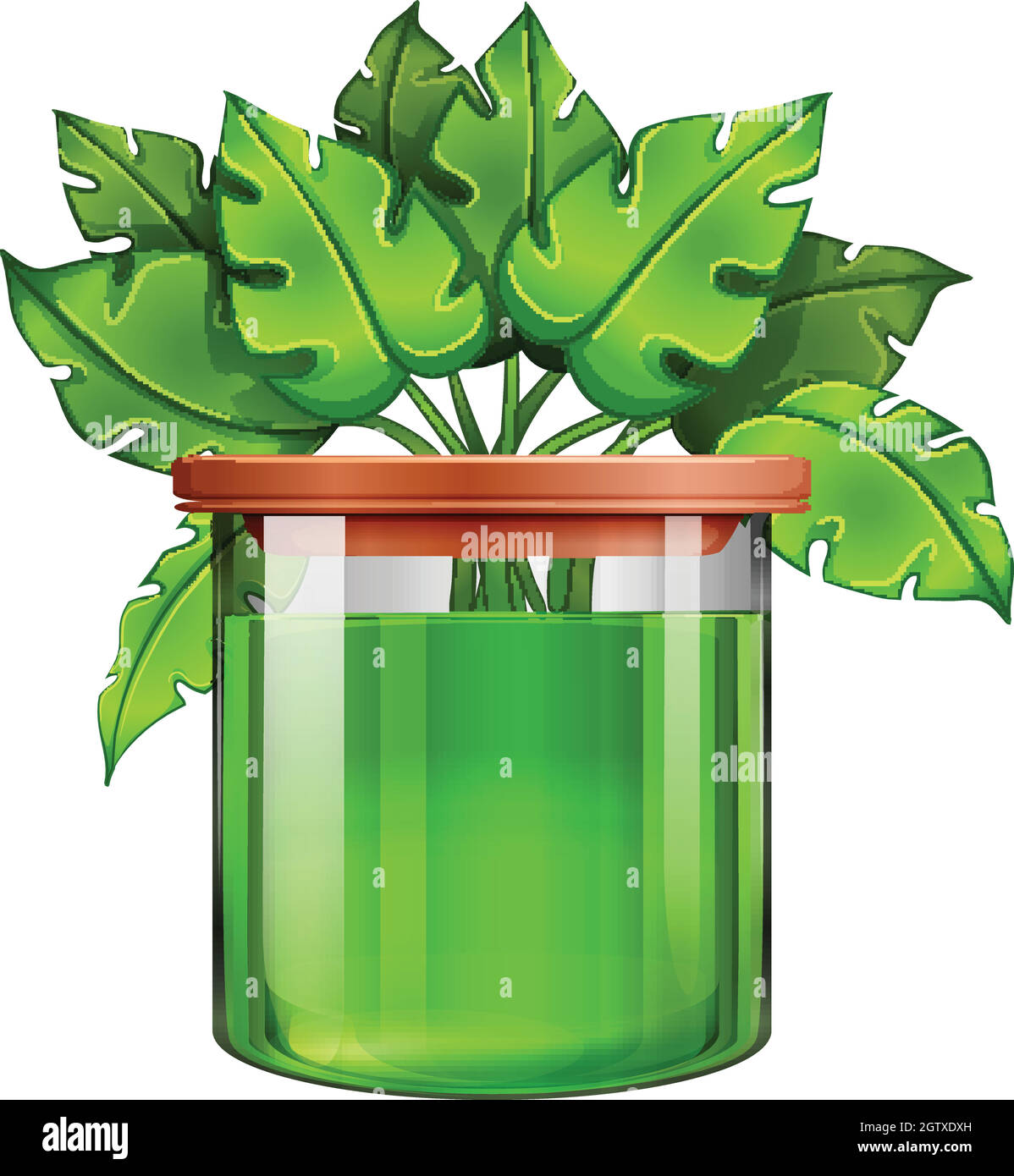 Plastic transparent jar green Stock Vector Images - Alamy