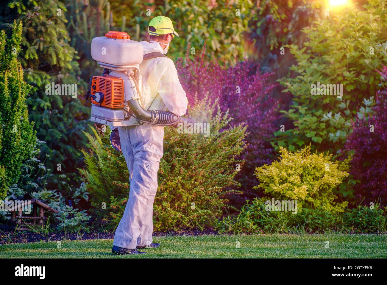 Man Spraying Pesticides High Resolution Stock Photography and Images ...