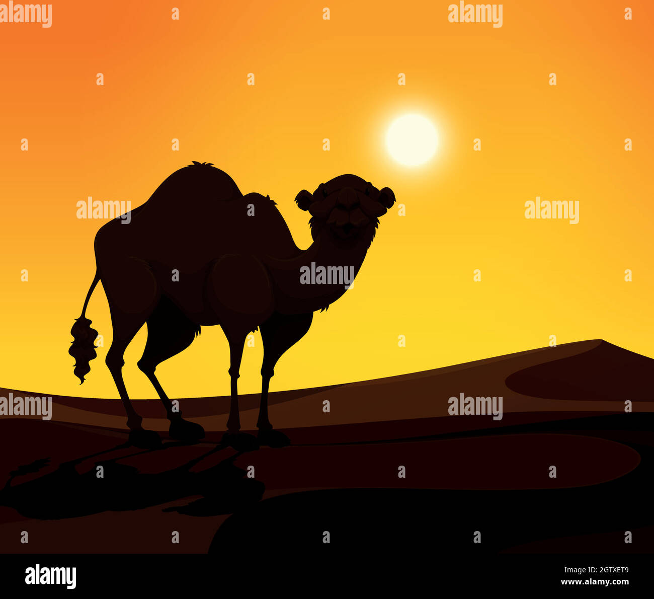 Camel standing on desert land at sunset Stock Vector Image & Art - Alamy