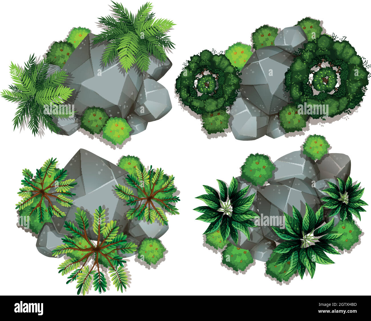 Plants rocks water Cut Out Stock Images & Pictures - Alamy