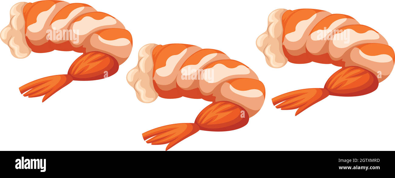 Three cooked shrimps on white background Stock Vector Image & Art - Alamy