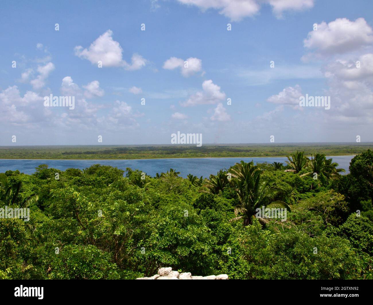 The view from the top of the High Temple at Lamanai archeological site ...