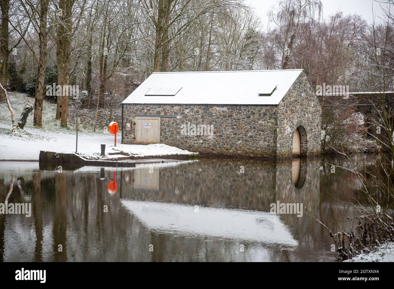 River lagan belfast tree hi-res stock photography and images - Alamy
