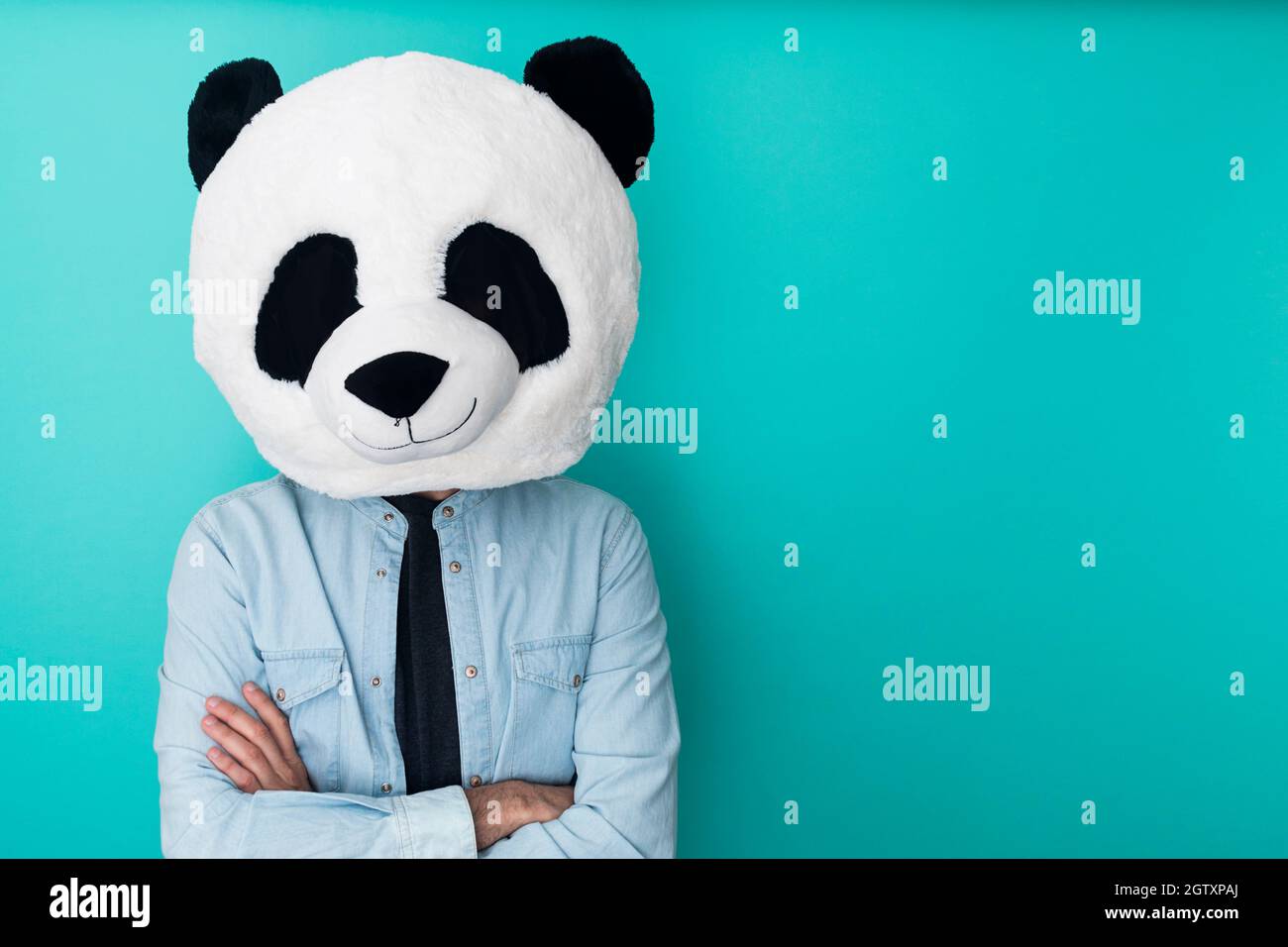 Confident man wearing panda mask standing against aquamarine background ...