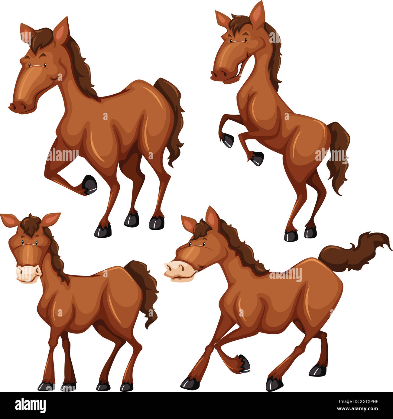 Brown horse in four different poses Stock Vector Image & Art - Alamy