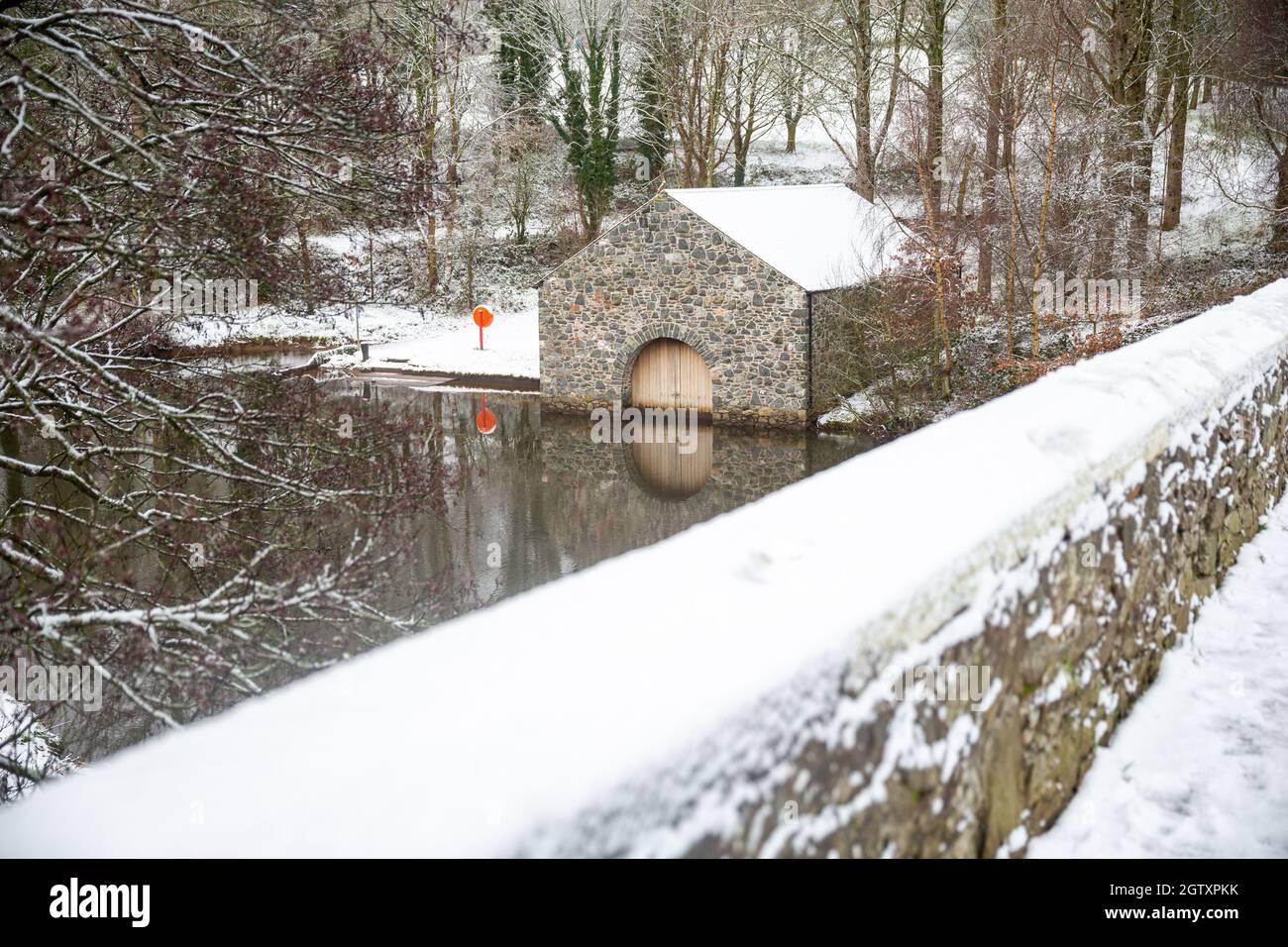 River lagan belfast tree hi-res stock photography and images - Alamy