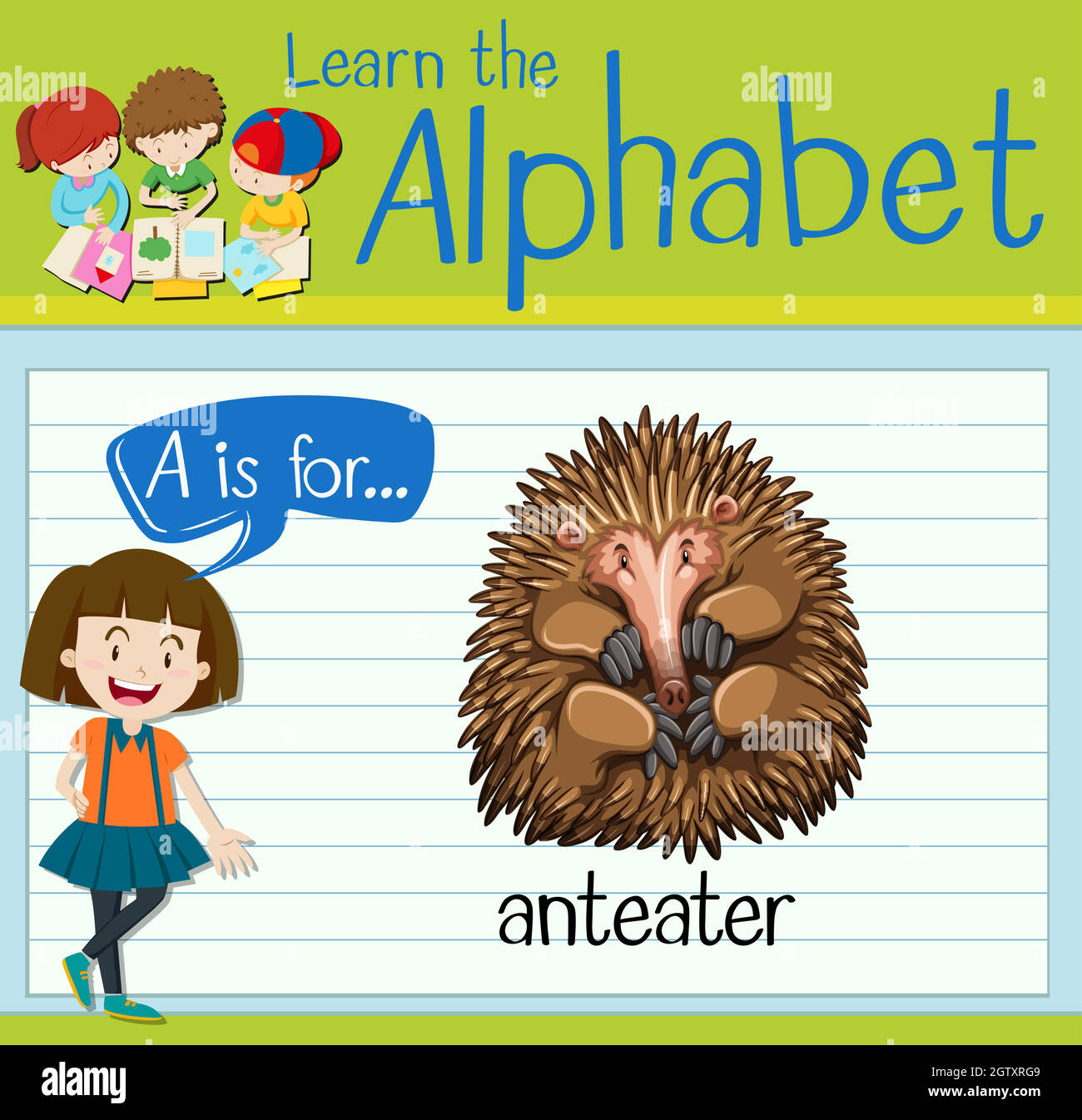 Flashcard letter A is for anteater Stock Vector Image & Art - Alamy