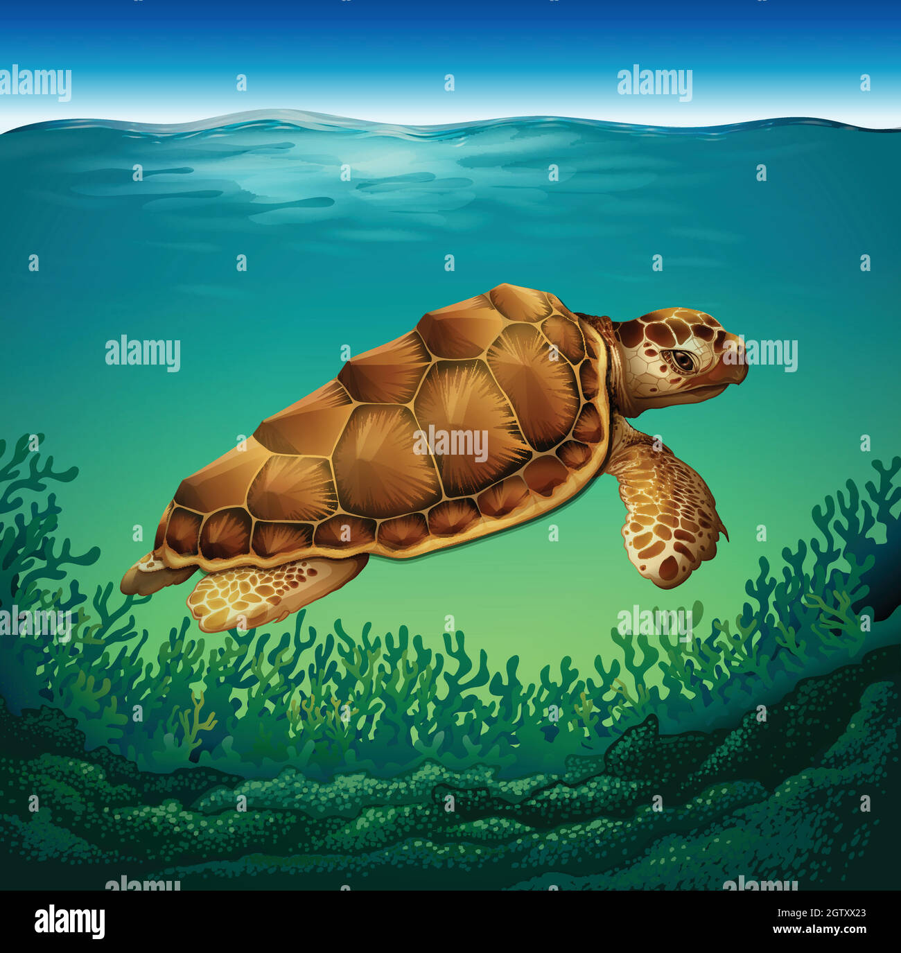 Turtle habitat picture Stock Vector Images - Alamy