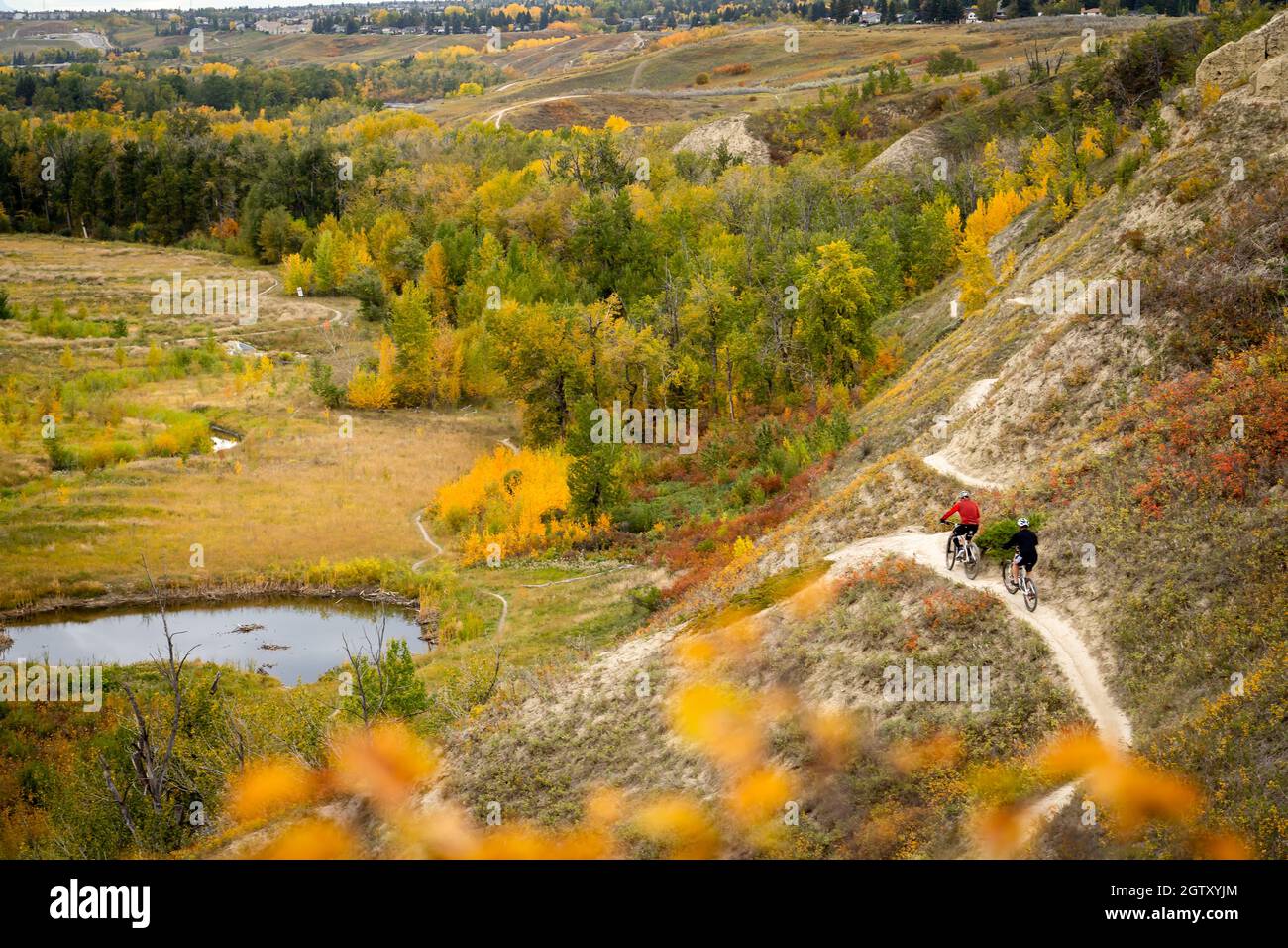 Two mountain bikers ride the Bowmont trail system in autumn colours ...