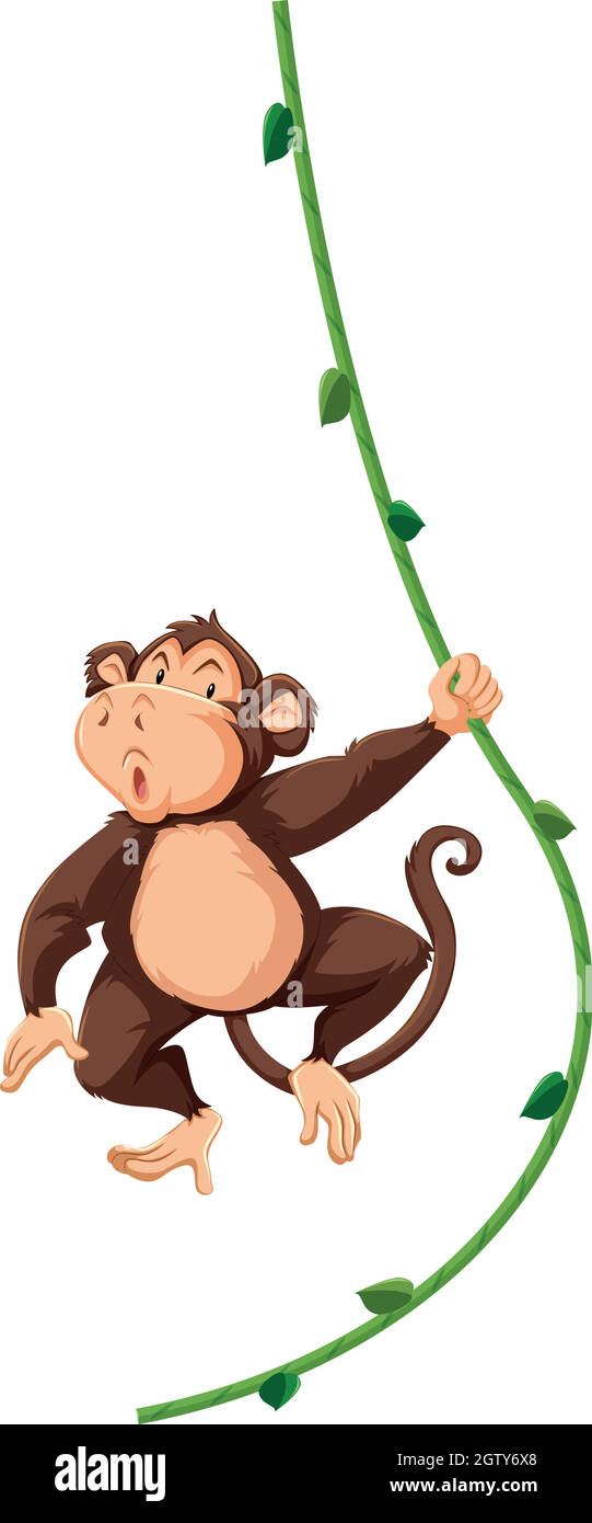 Cartoon Monkey Hanging From A Vine