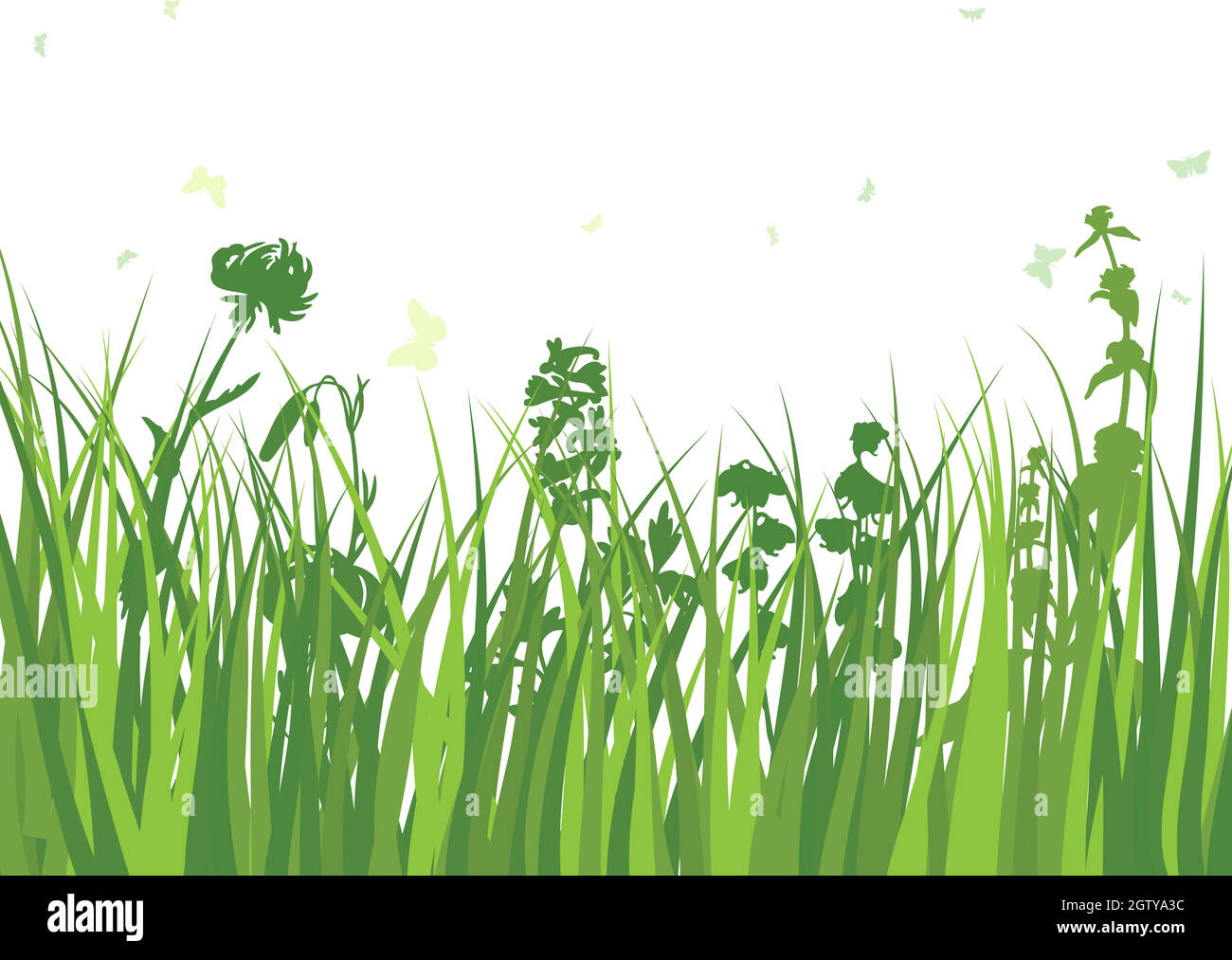 Green Grass Meadow Stock Vector Image & Art - Alamy