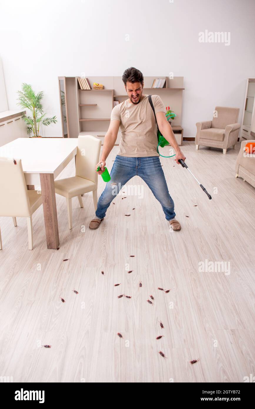 Screaming insect hi-res stock photography and images - Alamy