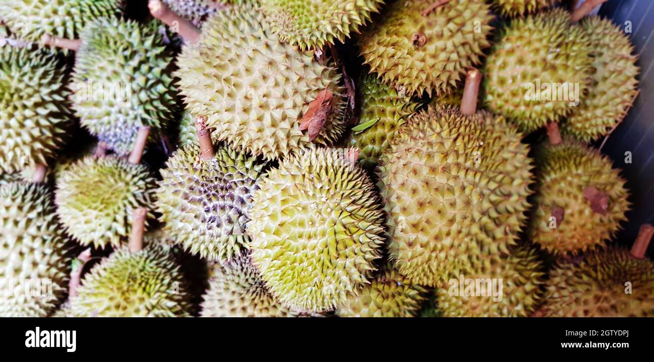 Cai lay hi-res stock photography and images - Alamy