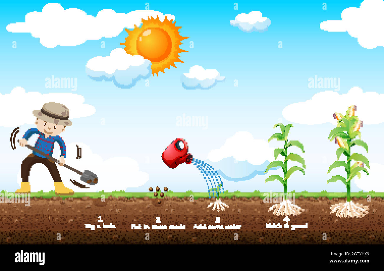 Farmer Planting Seeds Cartoon