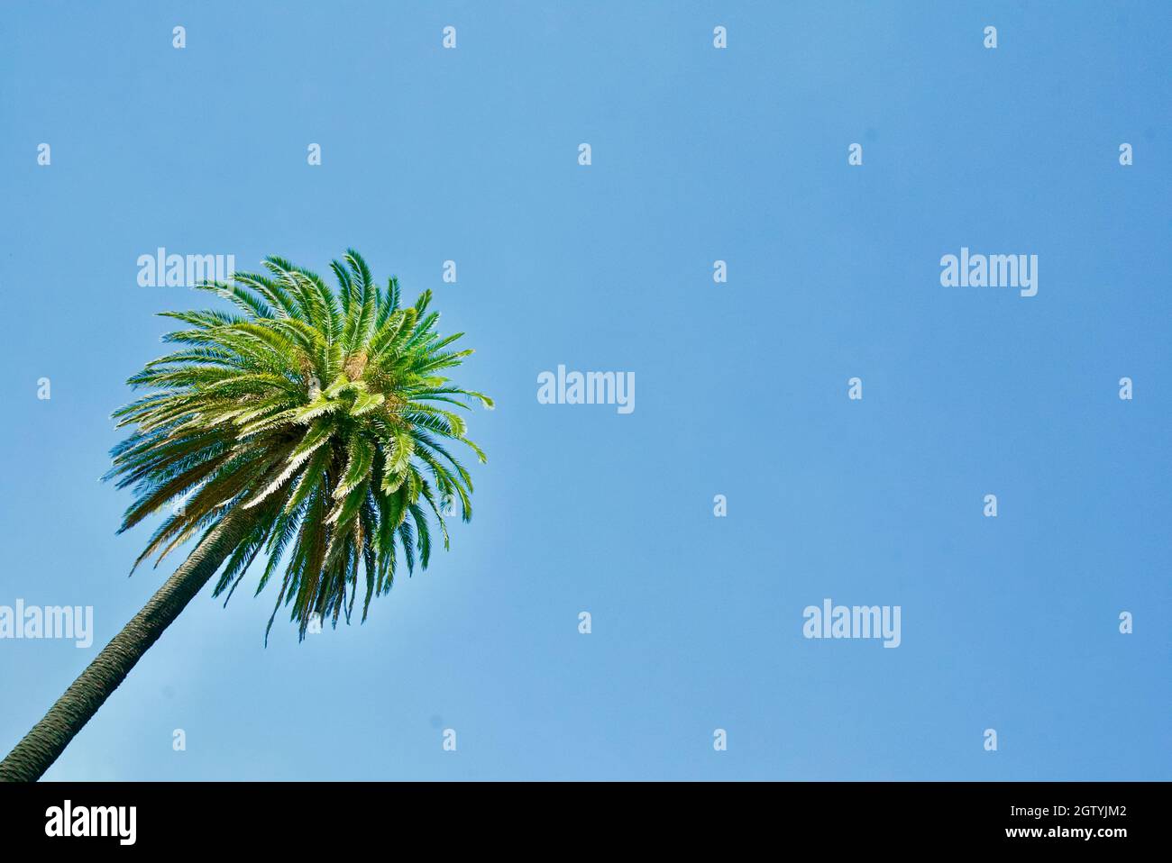 Backdrop sky hi-res stock photography and images - Alamy