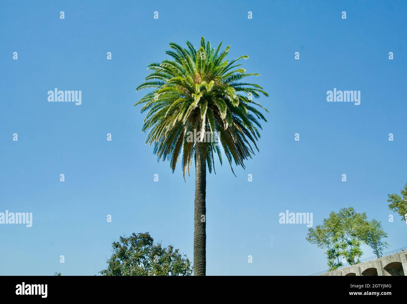 Backdrop sky hi-res stock photography and images - Alamy