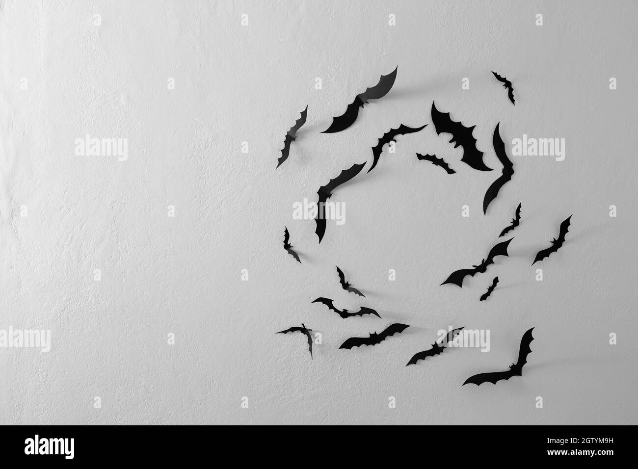 Bird circle hi-res stock photography and images - Alamy