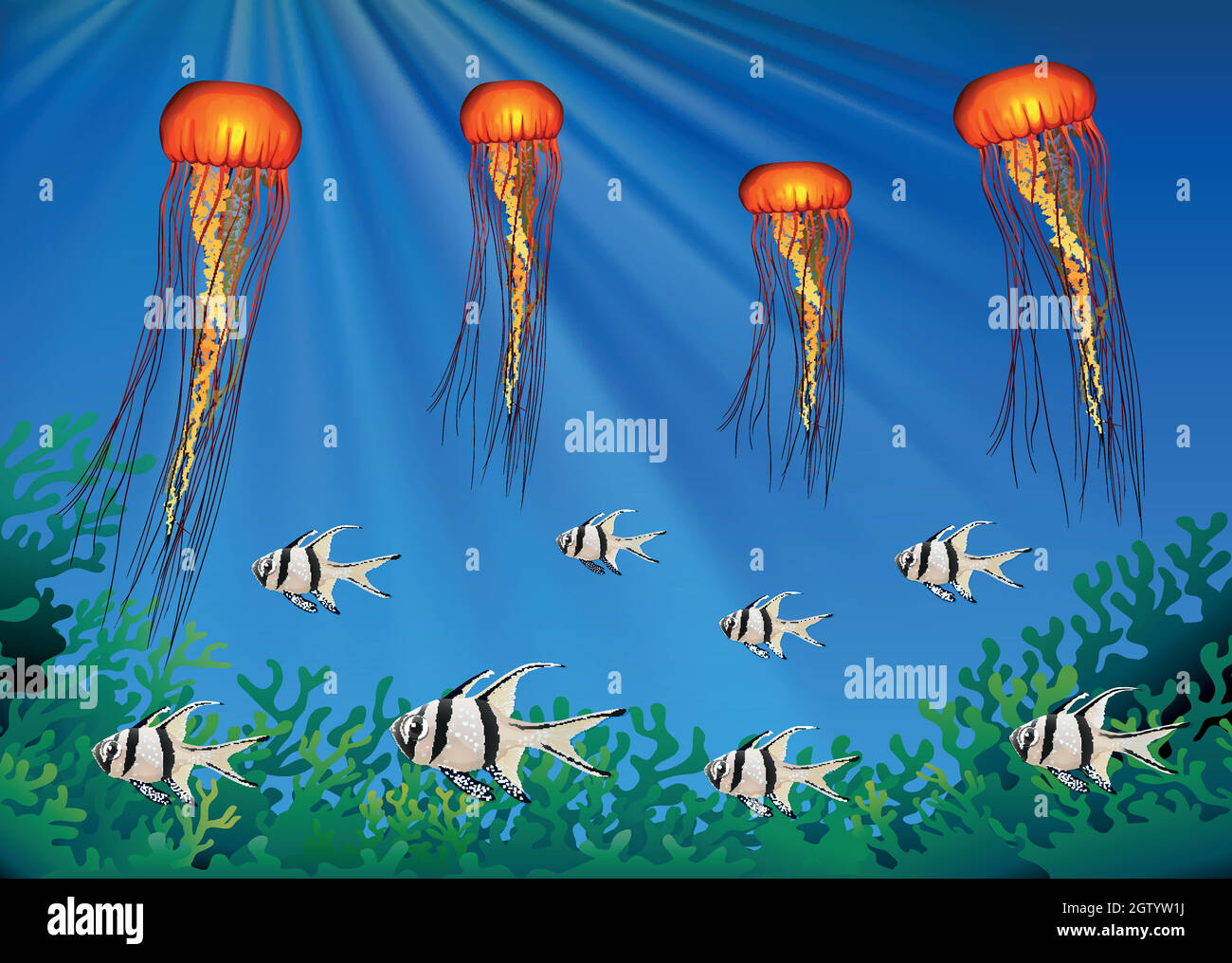 Sea fish under water Stock Vector Images - Alamy