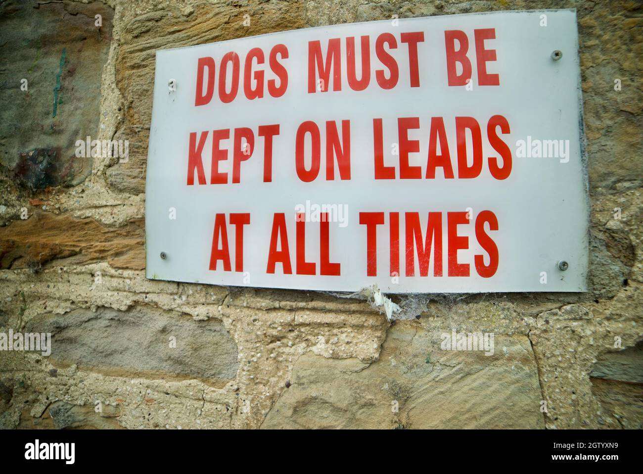 "DOGS MUST BE KEPT ON LEADS AT ALL TIMES" red and white signpost (keep ...