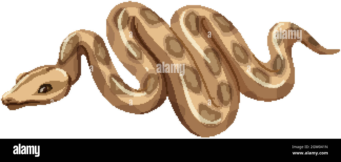 A snake in cartoon style isolated on white background Stock Vector ...