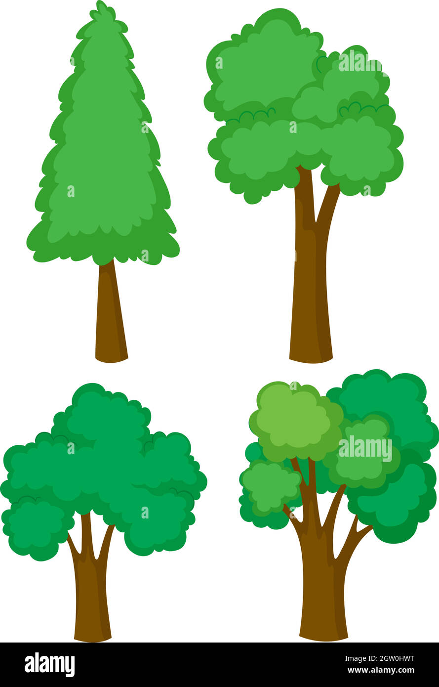 Types of trees hi-res stock photography and images - Alamy