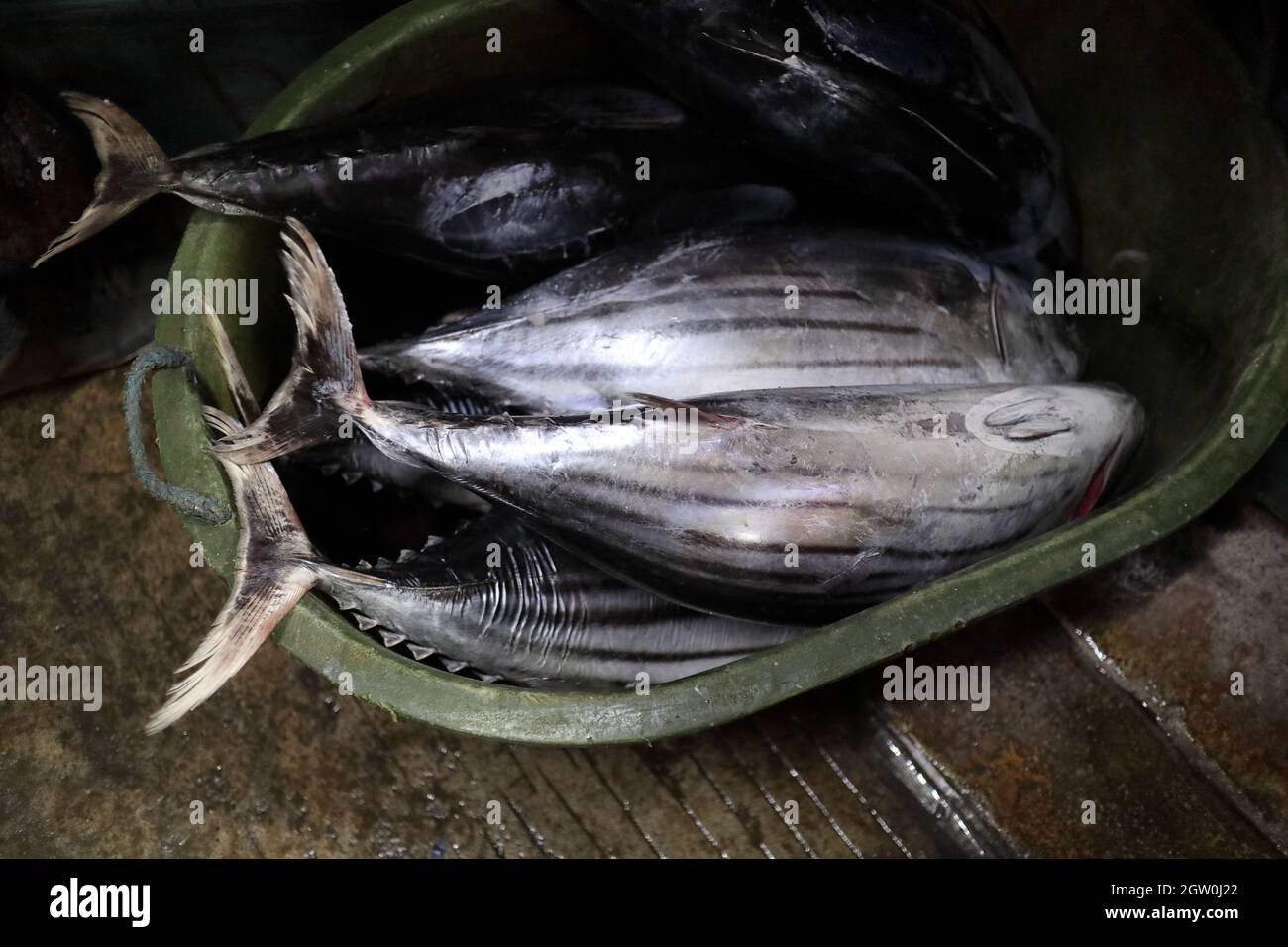 Basket of fish hi-res stock photography and images - Alamy