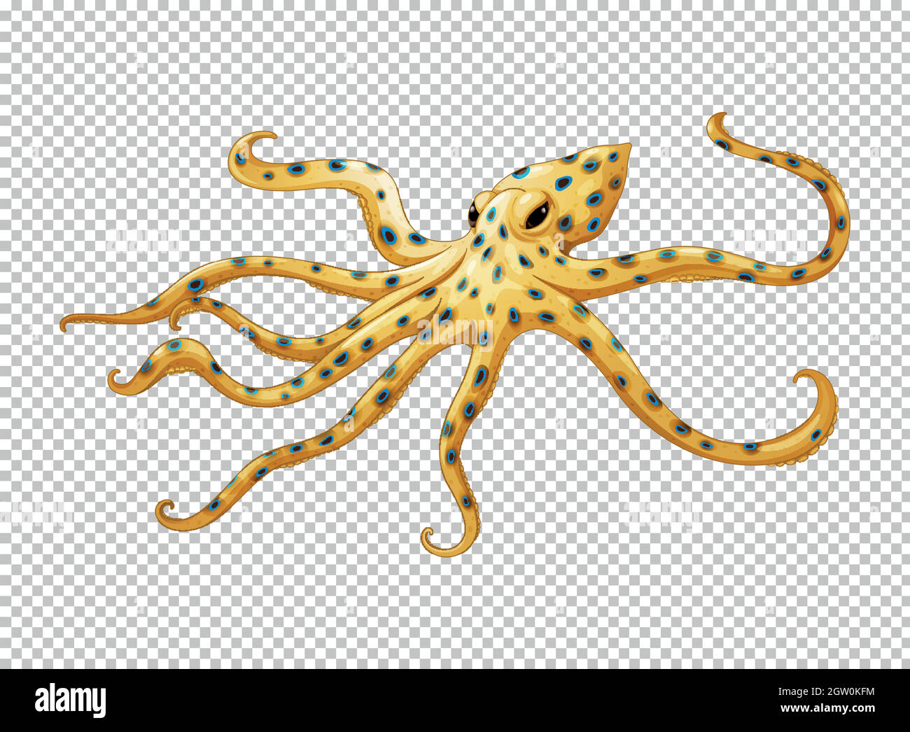 Octopus on transparent background Stock Vector Image & Art - Alamy