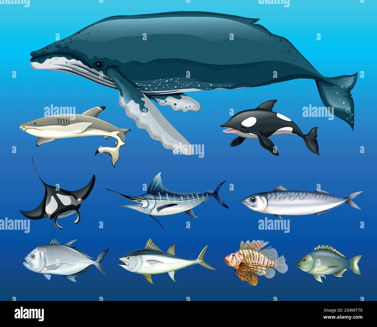 Set different marine animals Stock Vector Images - Alamy