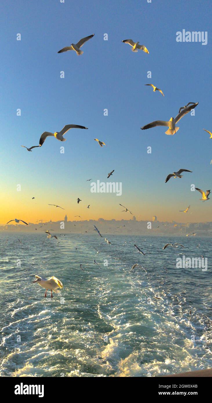 Earth spread hi-res stock photography and images - Alamy